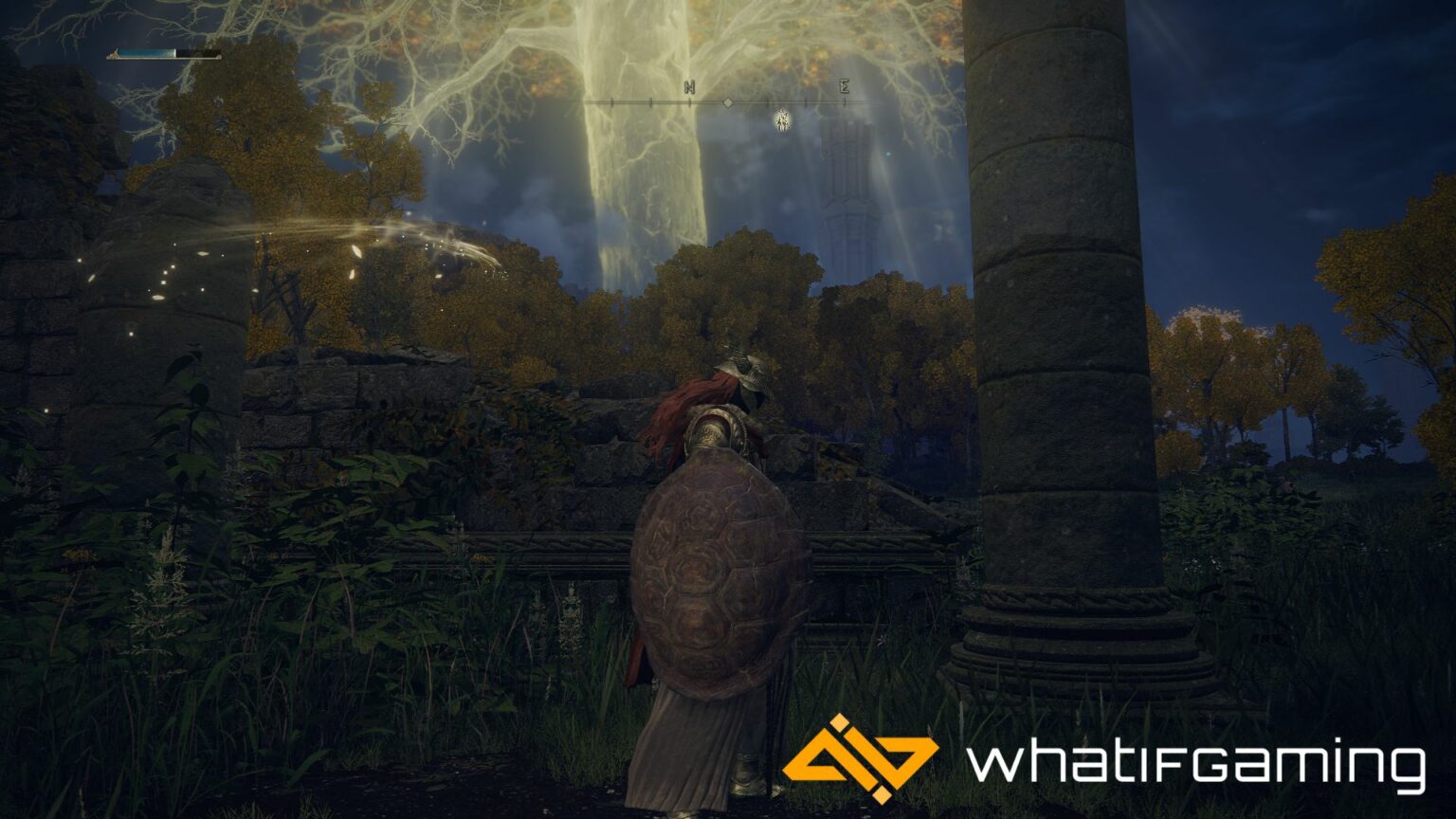 15 Best Shields in Elden Ring: Ranked - WhatIfGaming