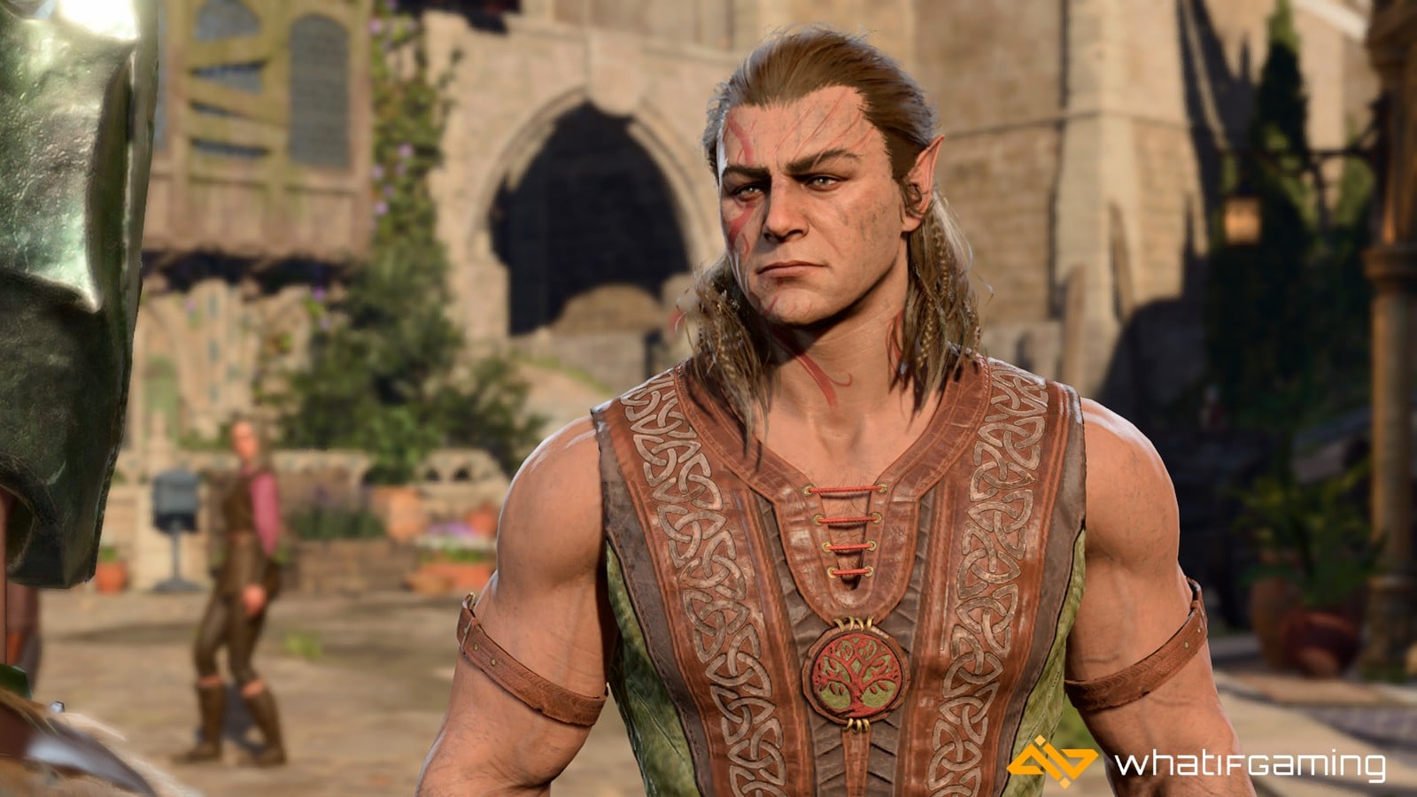 Where to Find Druid Halsin in Baldur's Gate 3 - WhatIfGaming